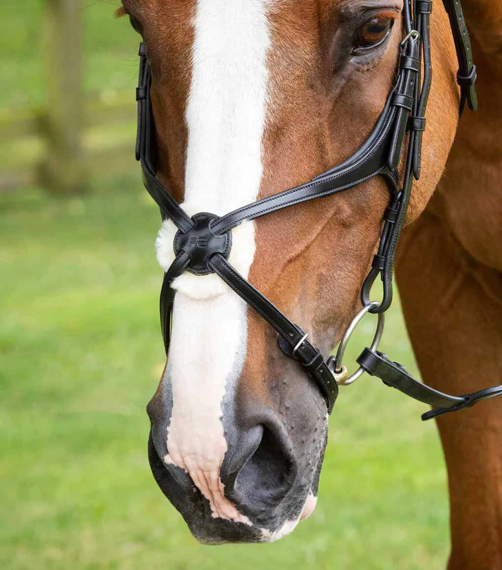 Bridle Parts & Accessories – Rookery Equine Emporium